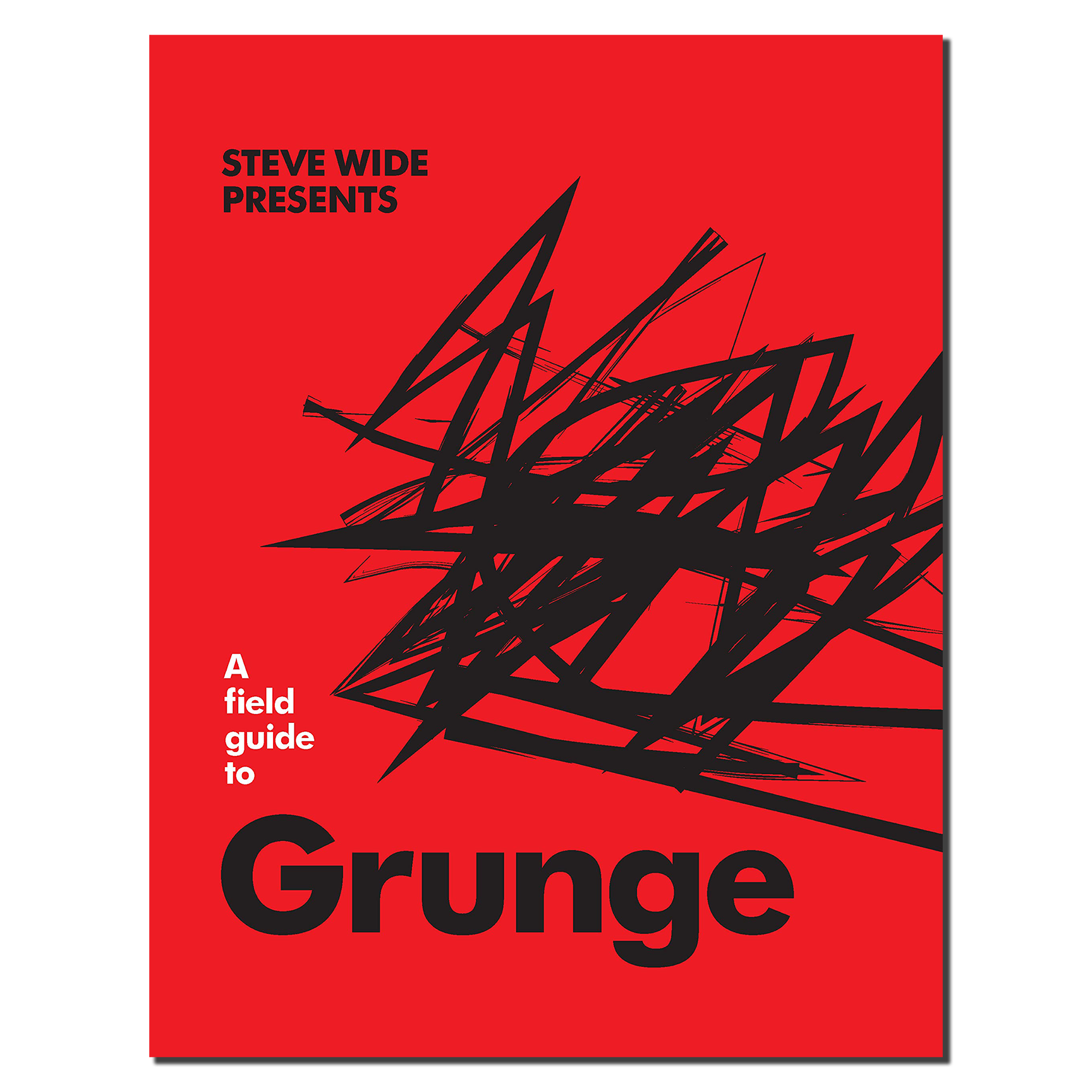 A Field Guide to Grunge | Glitch Gifts and Novelties